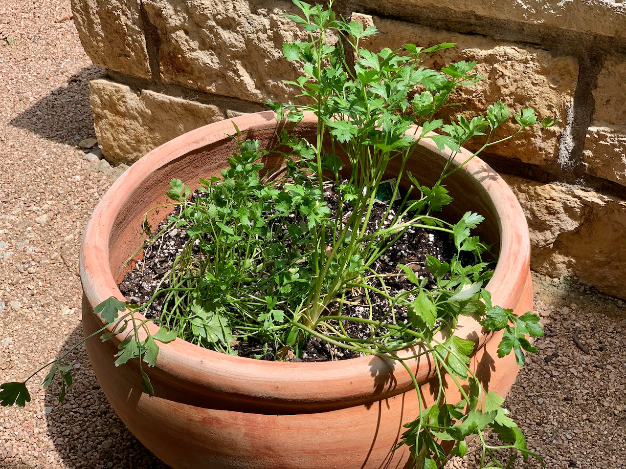 Day 22: The New Brood – Walking Contradiction